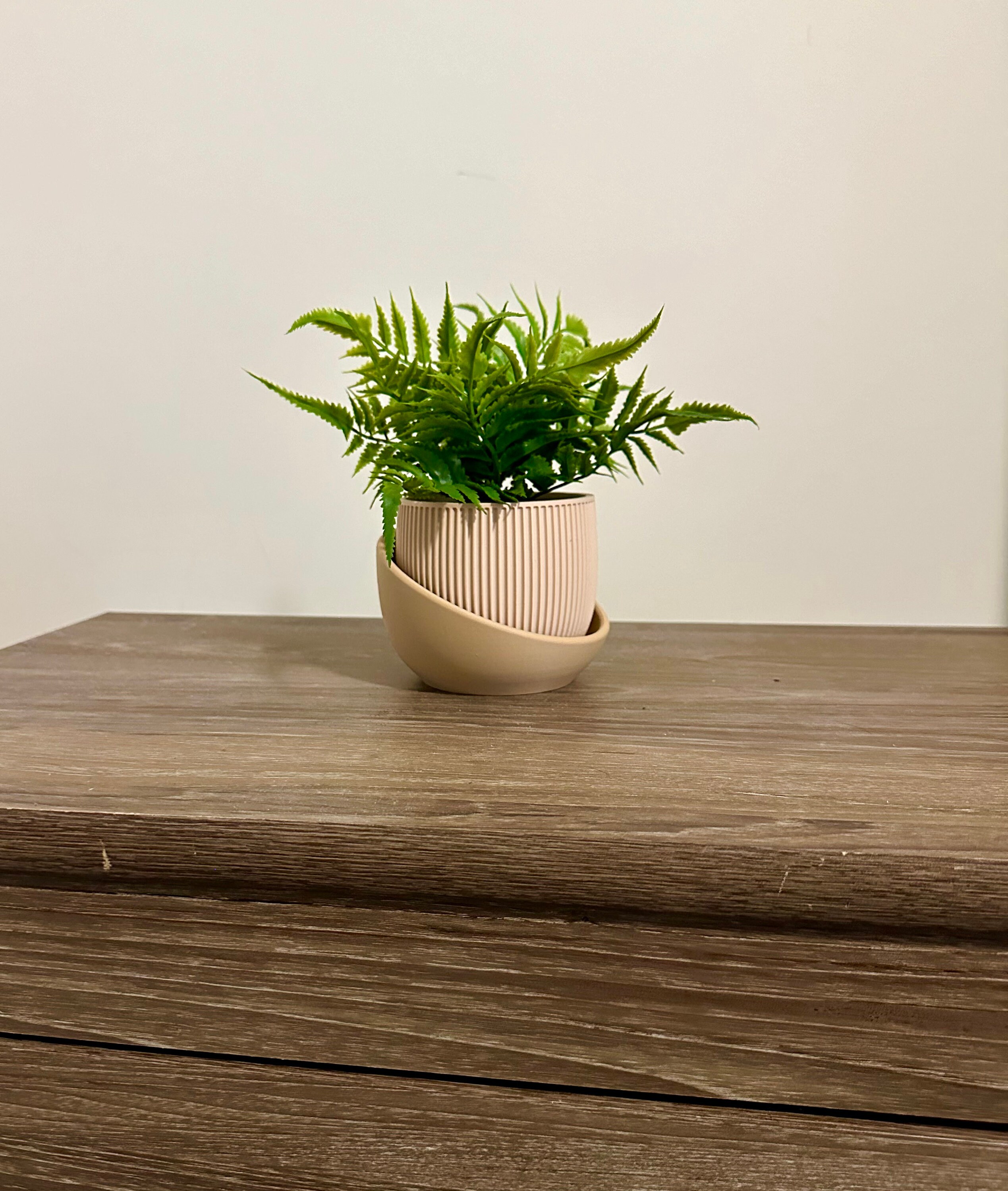 Modern Succulent Planter (custom Colors Available) - Etsy