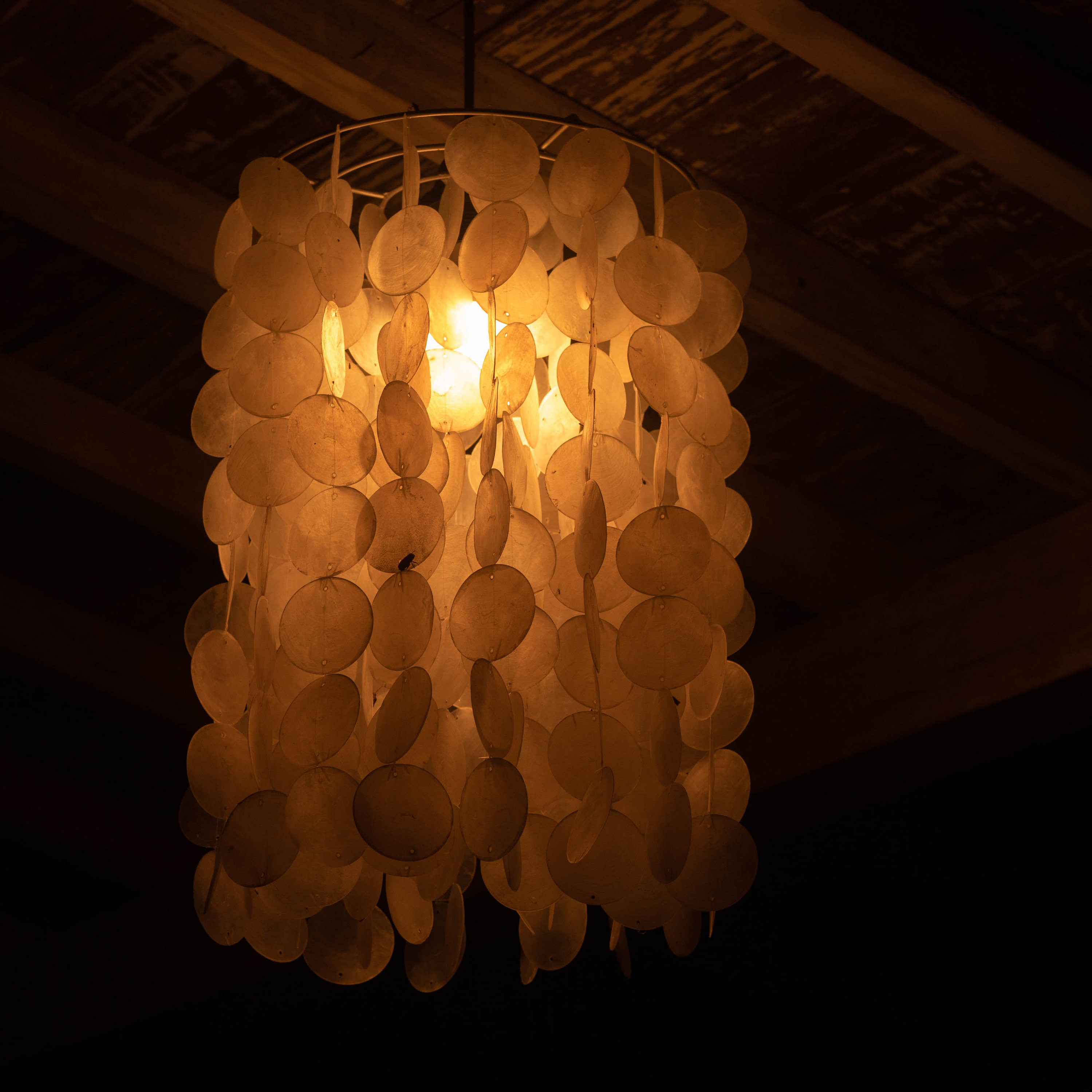 Shell Chandelier Capiz Shell Craft Shell Pendant Light Rounded - Etsy