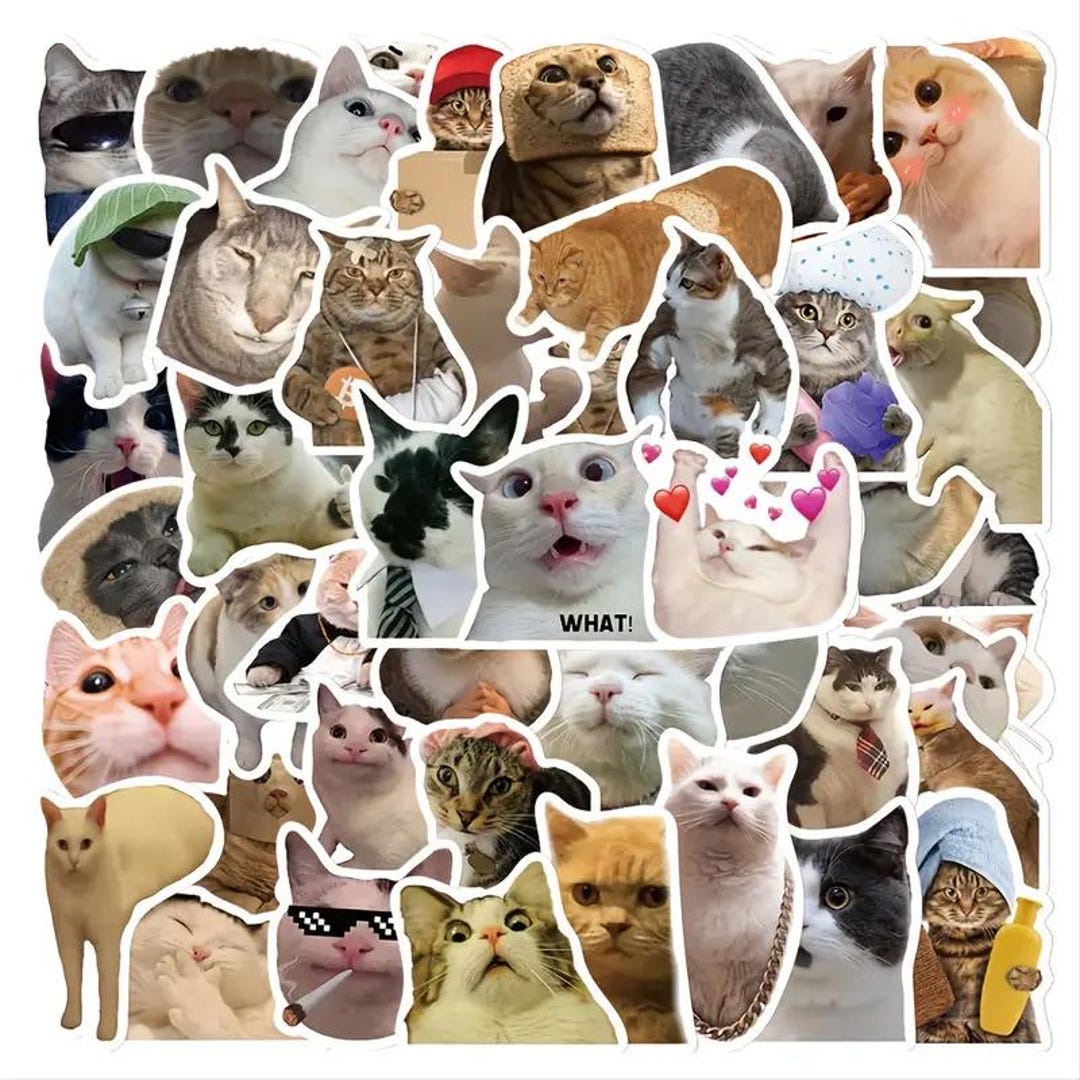 10+ Hilarious Waterproof Cat Stickers - Doodle Art for Decor + Fun ...
