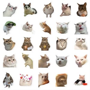 10+ Hilarious Waterproof Cat Stickers - Doodle Art for Decor + Fun ...