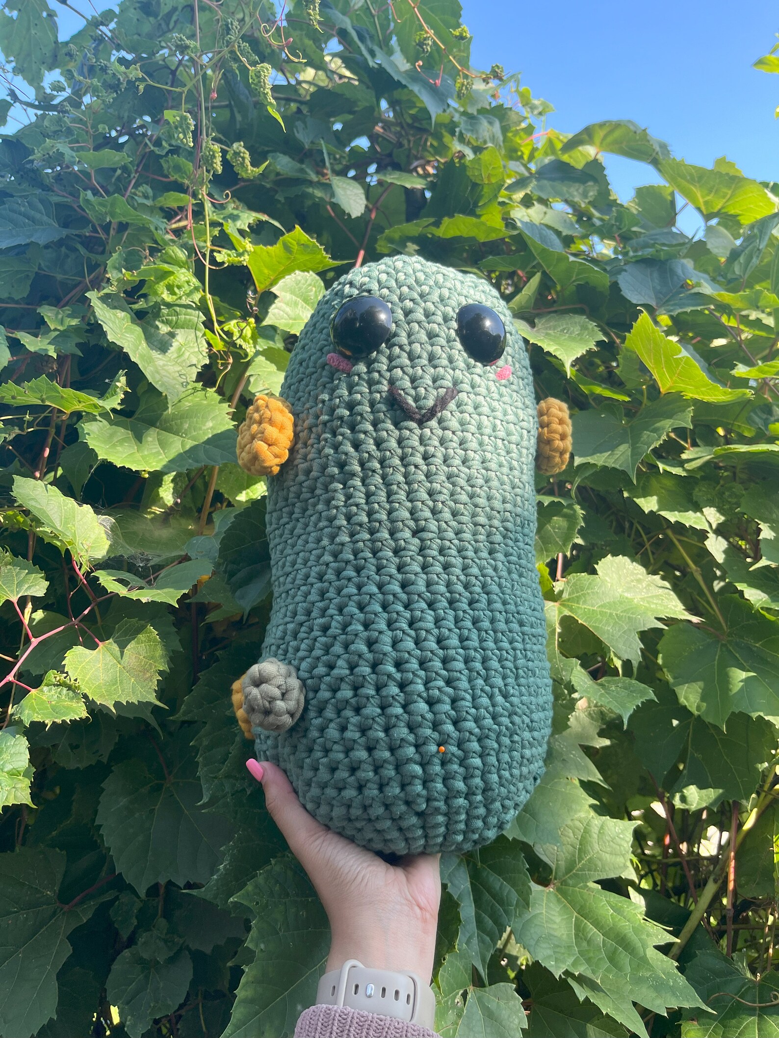 HUGE Pickle Crochet Pattern, Adorable Pickle Plushies, Amigurumi ...
