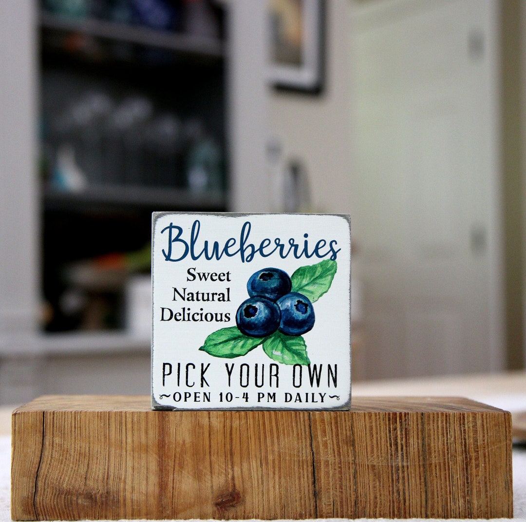 Blueberry Tiered Tray Sign Blueberries Sweet Natural Delicious Pick ...