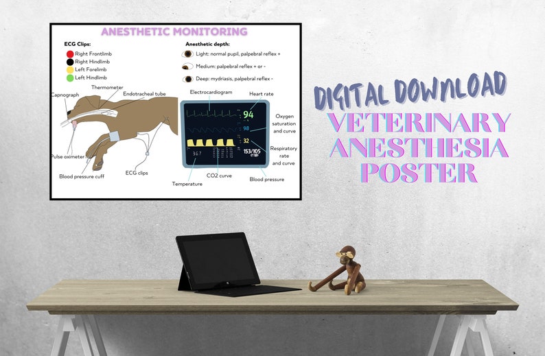 Vet Anesthetic Monitoring Poster - Etsy