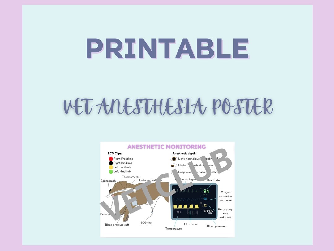 Vet Anesthetic Monitoring Poster - Etsy