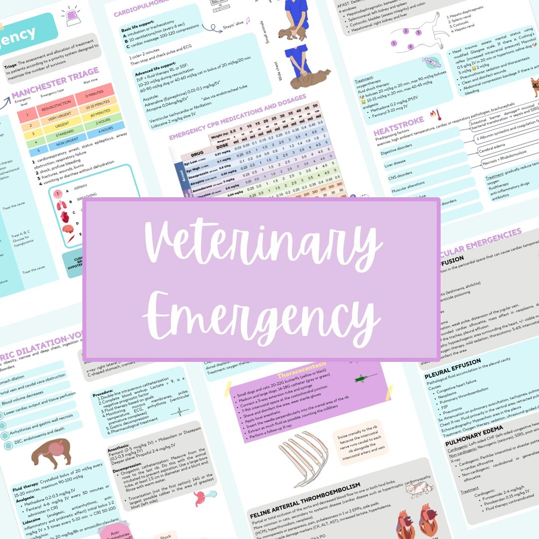 ER VET Guide, Vet Emergency Notes - Etsy