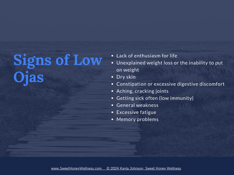 Ayurveda Food Guide Instant Download Ojas Building 15 Recipe Ebook 5 ...