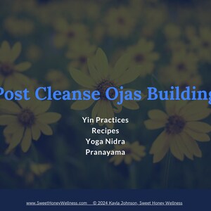 Ayurveda Food Guide Instant Download Ojas Building 15 Recipe Ebook 5 ...