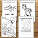 Coloring and Tracing Book for Preschool & Kindergarten Kids 110 Pages ...
