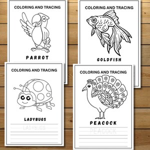Coloring and Tracing Book for Preschool & Kindergarten Kids 110 Pages ...