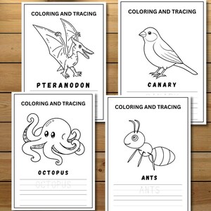 Coloring and Tracing Book for Preschool & Kindergarten Kids 110 Pages ...