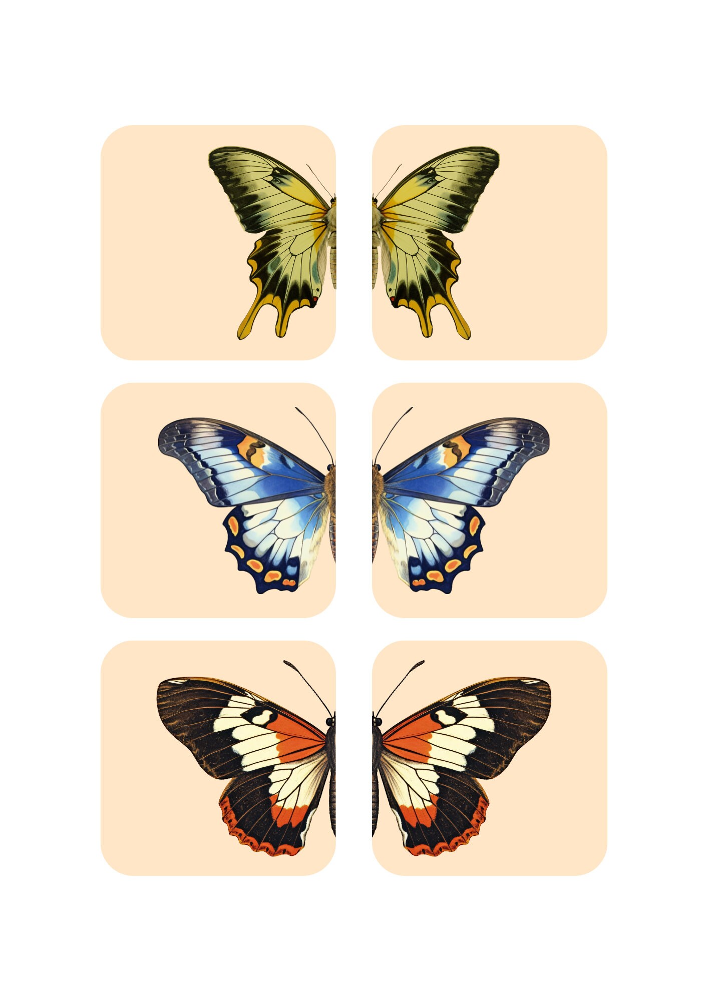 Printable Butterfly Matching Card Game, Educational Magna Tile Puzzle ...