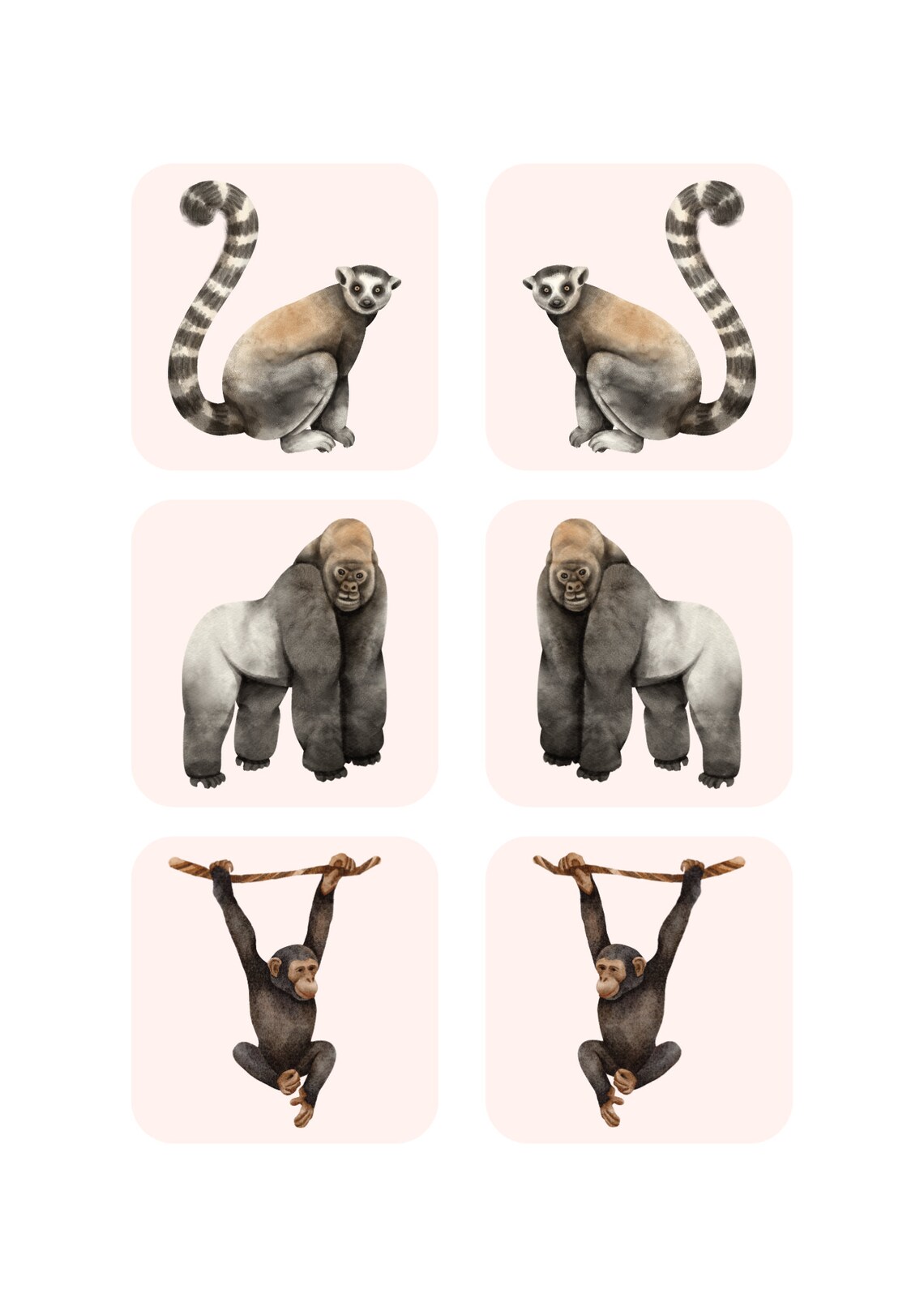 Printable Primate Matching or Memory Game, Monkey Card Game, Montessori ...