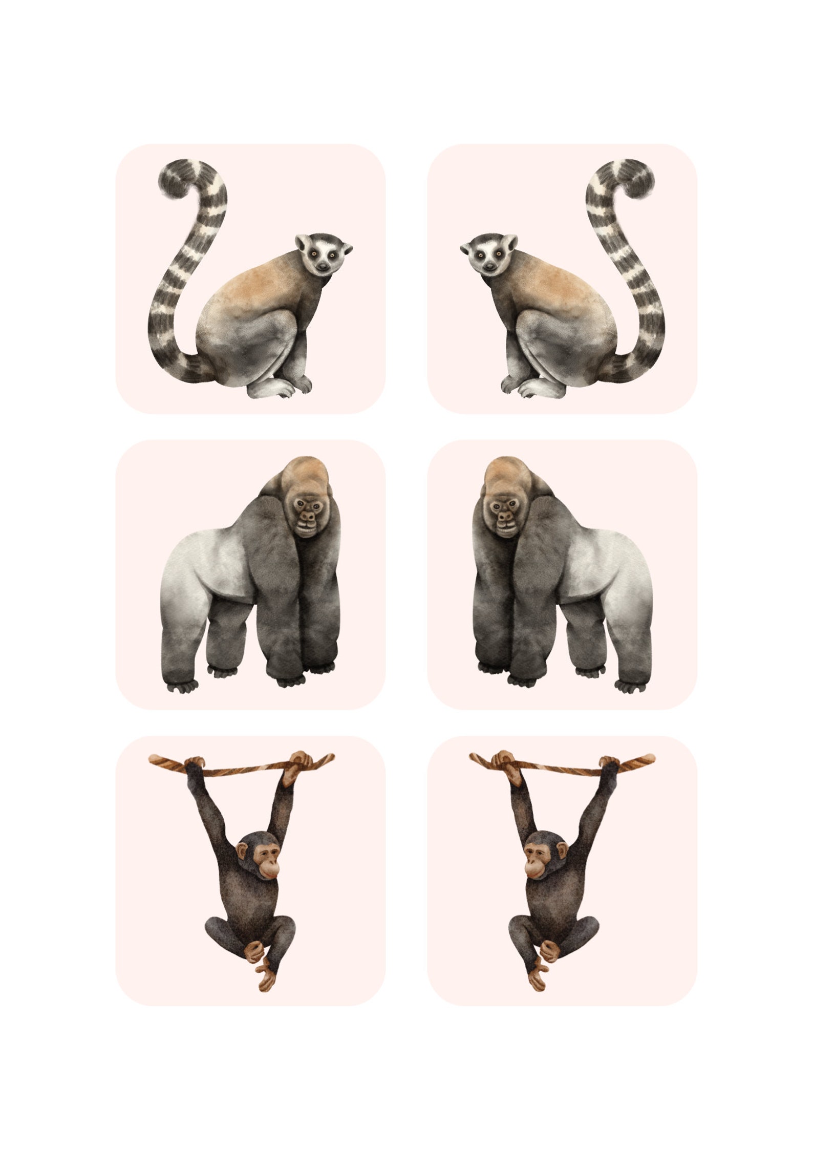 Printable Primate Matching or Memory Game, Monkey Card Game, Montessori ...