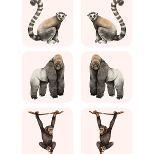 Printable Primate Matching or Memory Game, Monkey Card Game, Montessori ...