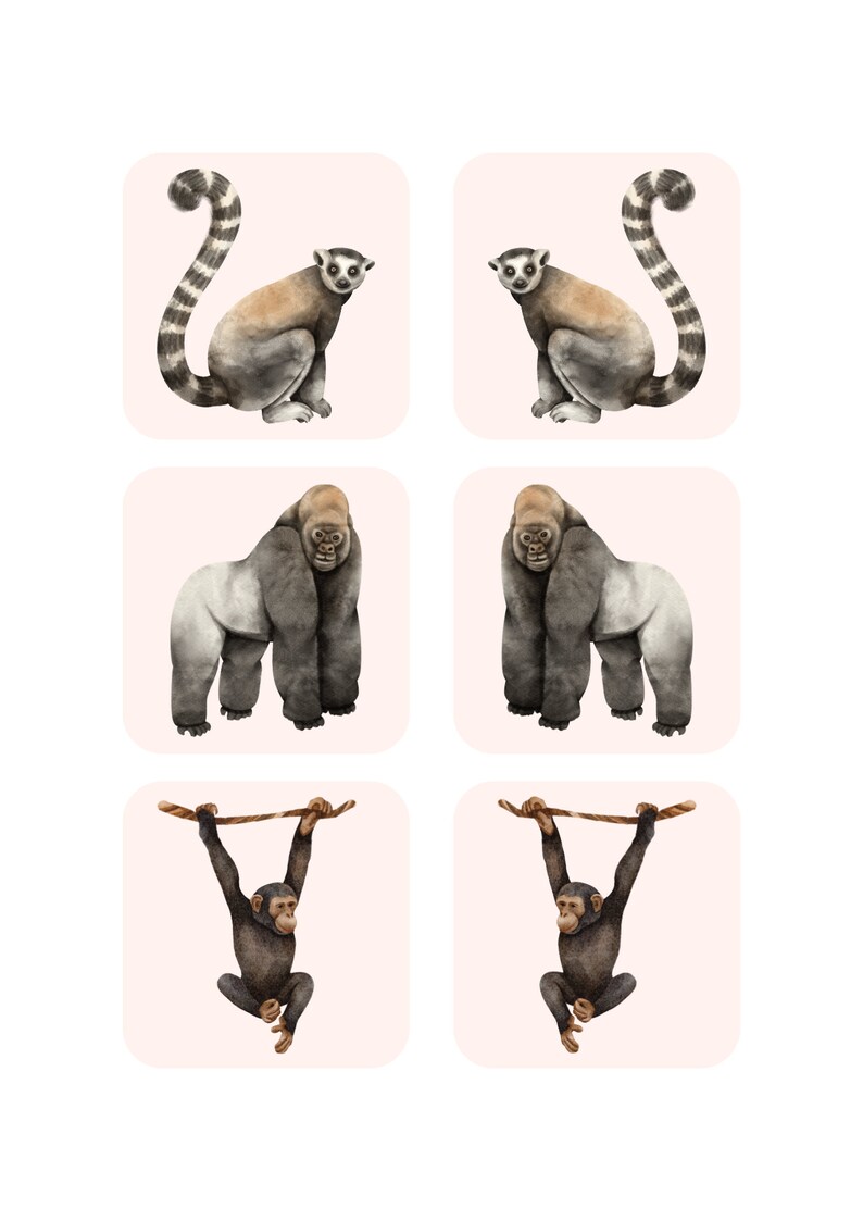 Printable Primate Matching or Memory Game, Monkey Card Game, Montessori ...
