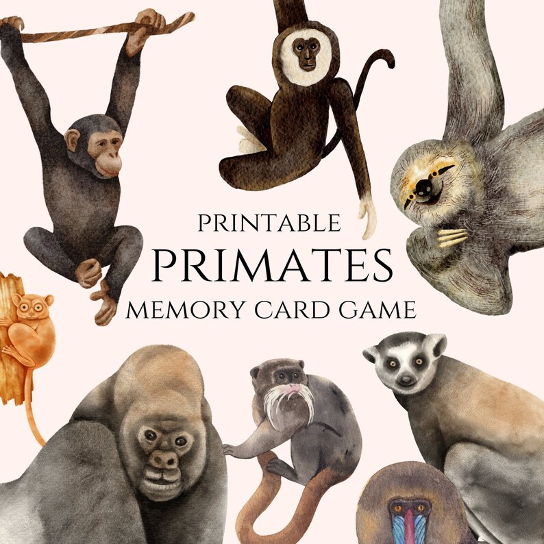 Printable Primate Matching or Memory Game, Monkey Card Game, Montessori ...