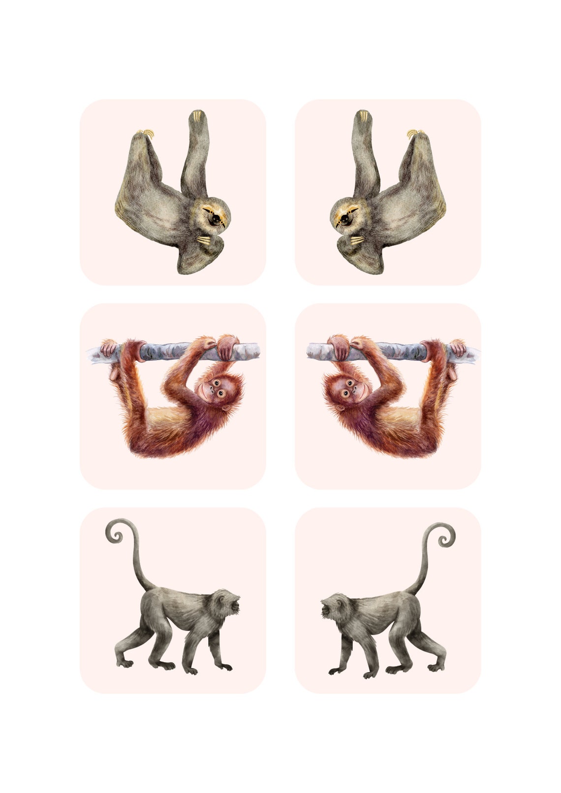 Printable Primate Matching or Memory Game, Monkey Card Game, Montessori ...