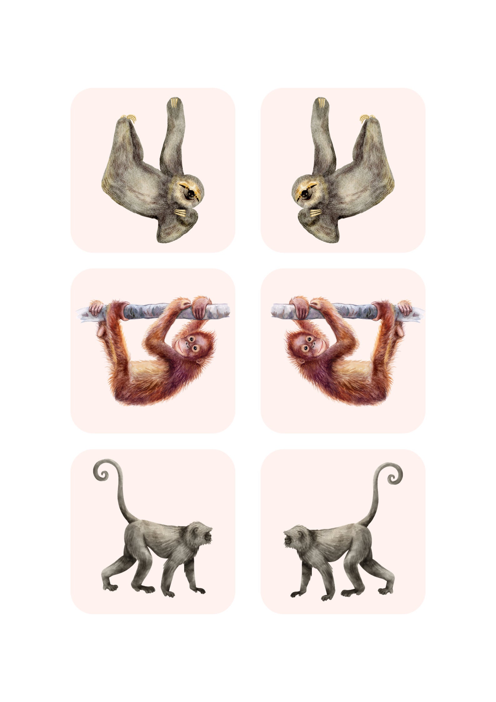 Printable Primate Matching or Memory Game, Monkey Card Game, Montessori ...