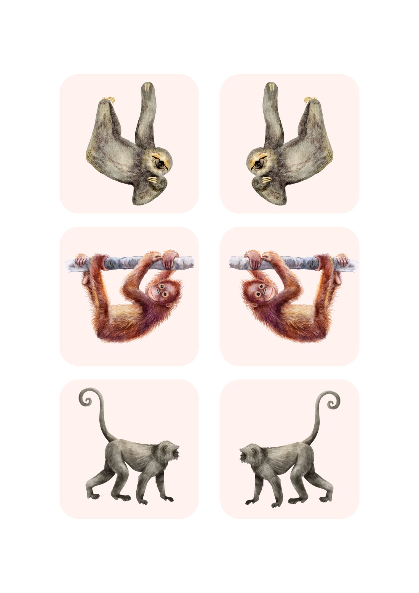 Printable Primate Matching or Memory Game, Monkey Card Game, Montessori ...