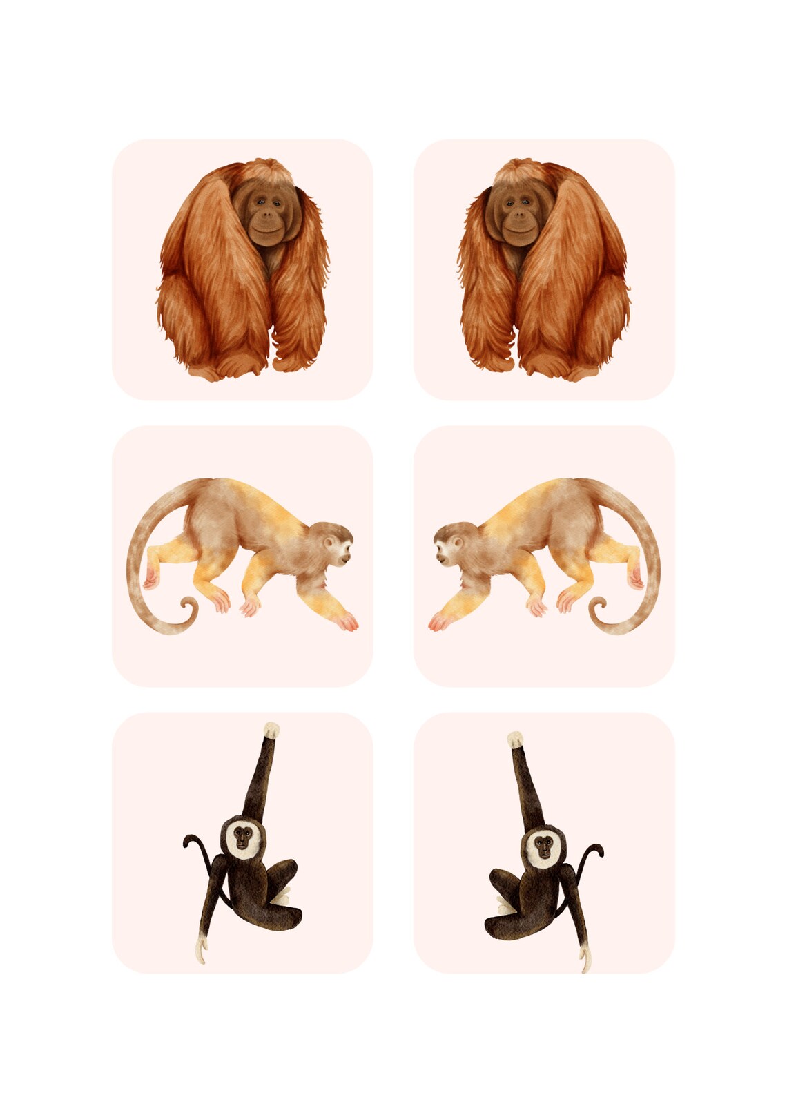 Printable Primate Matching or Memory Game, Monkey Card Game, Montessori ...