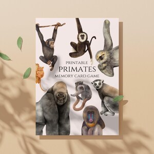 Printable Primate Matching or Memory Game, Monkey Card Game, Montessori ...