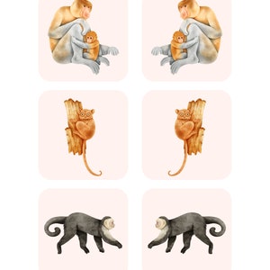 Printable Primate Matching or Memory Game, Monkey Card Game, Montessori ...