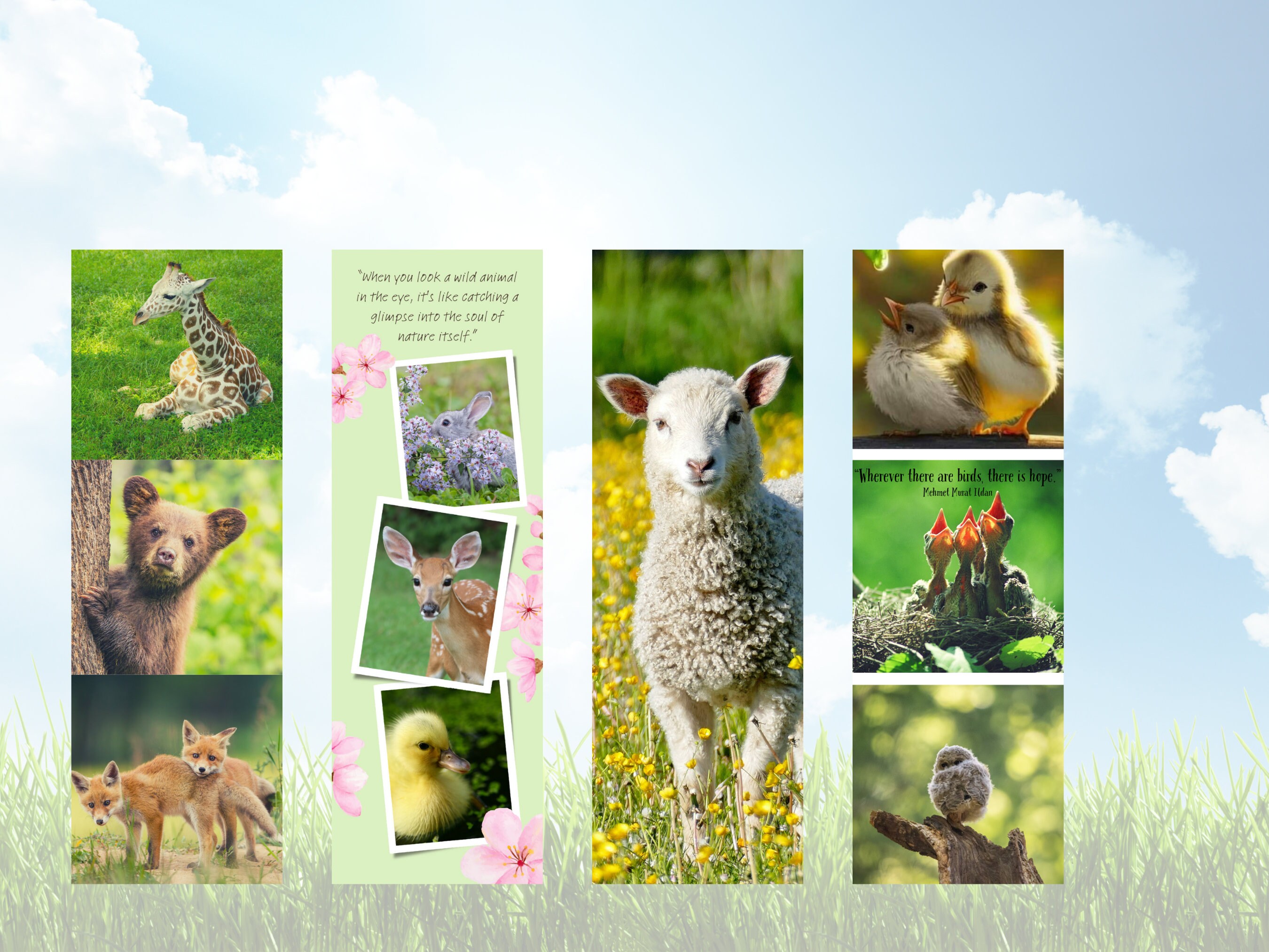 Baby Animals Printable Bookmarks Cute Animal Book Mark - Etsy