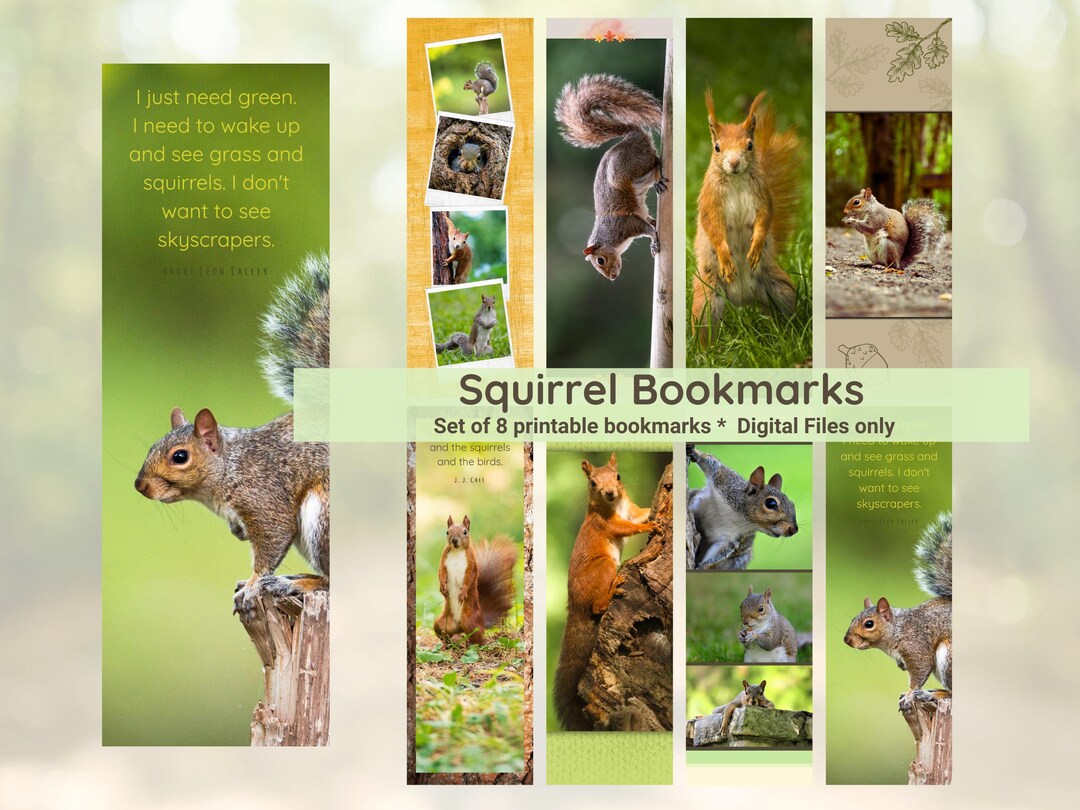 Squirrel Bookmarks, Cute Woodland Friends Gift (digital Download) - Etsy