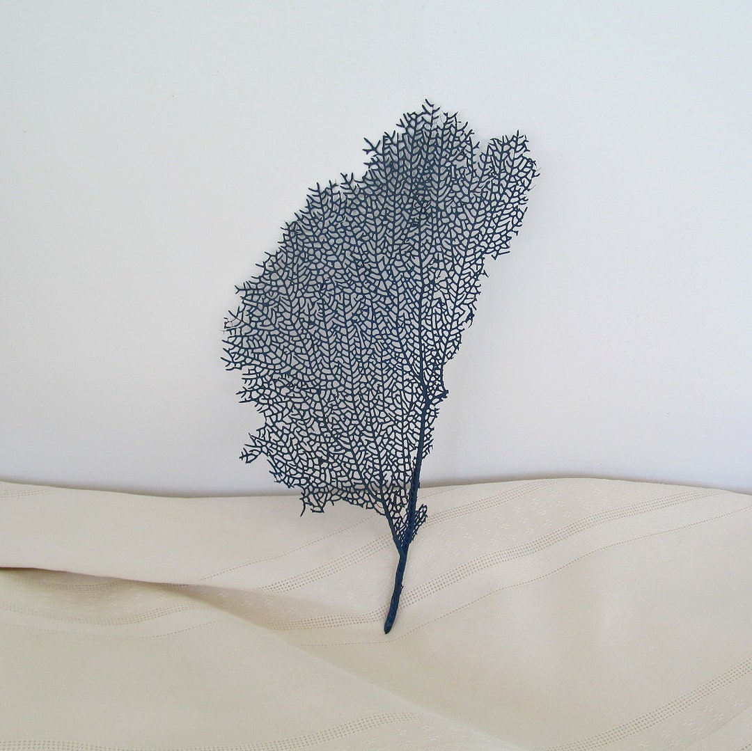 Sea Fan, Navy Blue Coastal Decor, Nautical Navy Mineral Blue Seafan ...