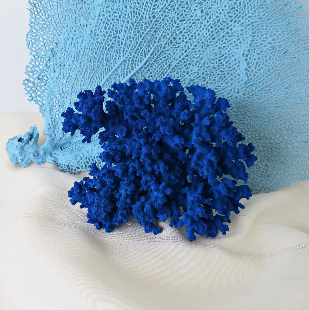 Cobaltblue Real Coral Piece, Painted Cobalt Blue Lacy Coral, 5.5 X 3.5 ...