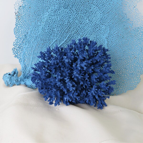 Blue Coral Jewelry - Etsy