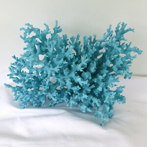 Aqua Blue Real Coral Piece, Painted Aqua Blue Lacy Coral, 6 X 6.5 X 5.5 ...