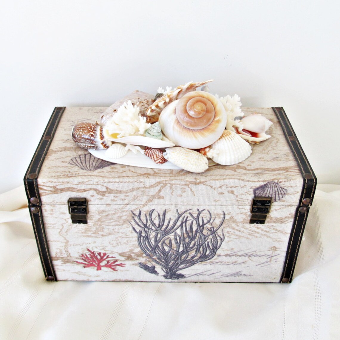 Shell Box Box With Shells Coral and Shells Box Large - Etsy
