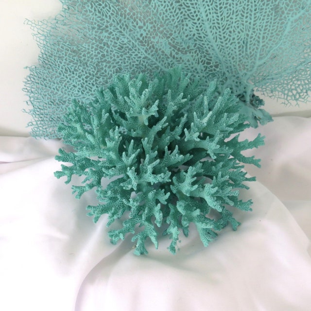 SandisShellscapes - Etsy