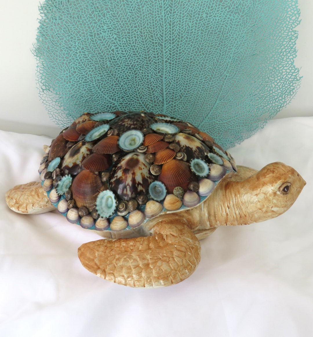 Seashell Turtle, Turtle With Shells, Brown Aqua Blue Turtle, Turtle for ...