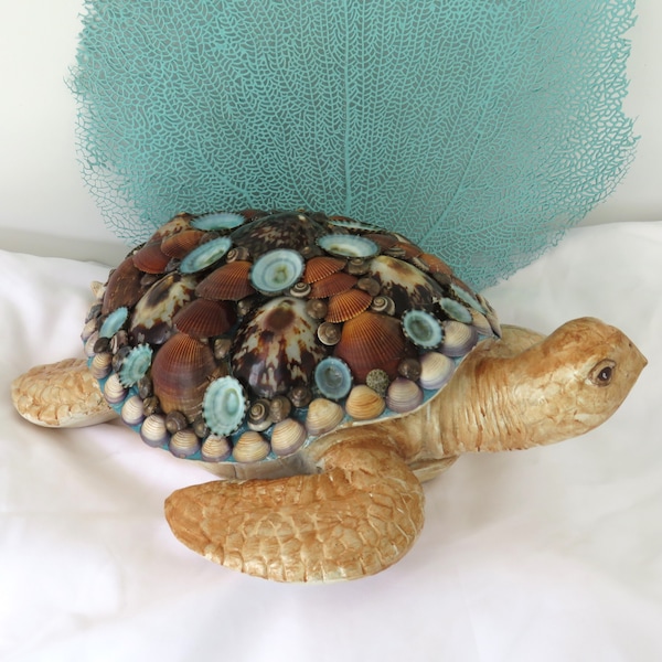 Seashell Turtle - Etsy