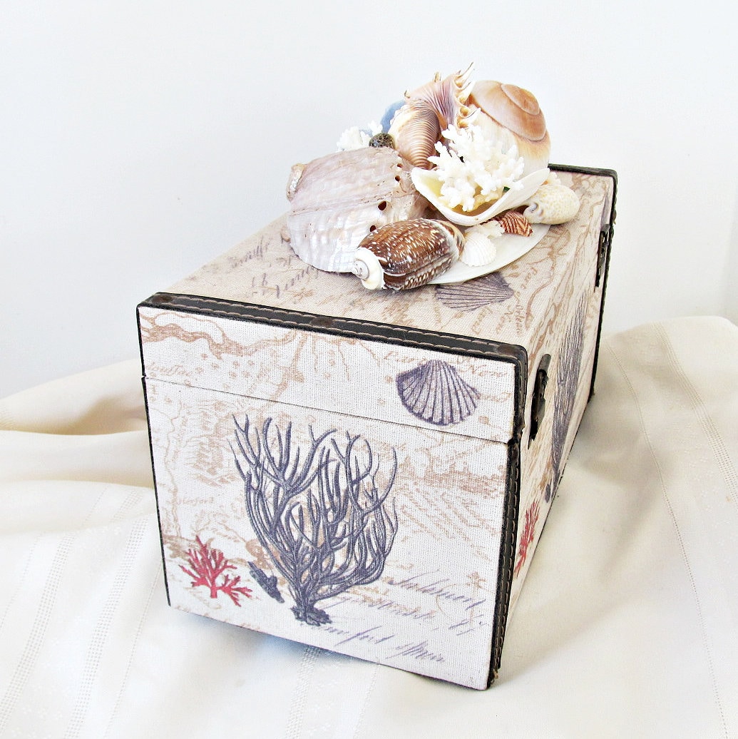 Shell Box Box with Shells Coral and Shells Box Large | Etsy