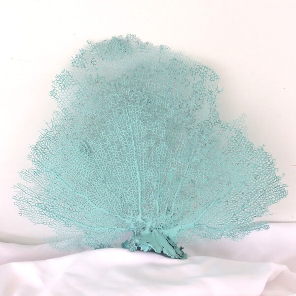 Blue Sea Fan - Etsy