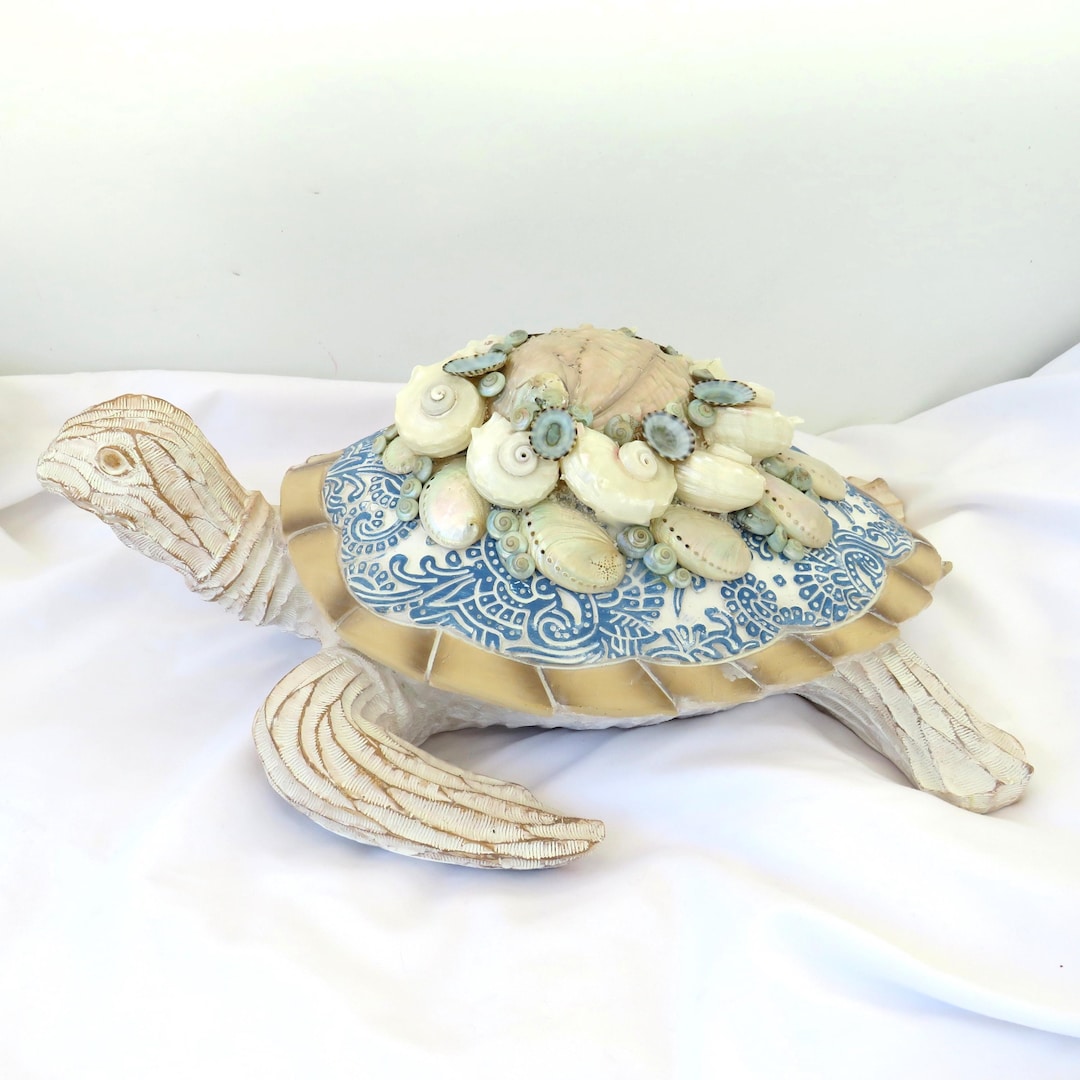 Seashell Turtle, Turtle With Shells, Beige Light Blue Turtle, Turtle ...