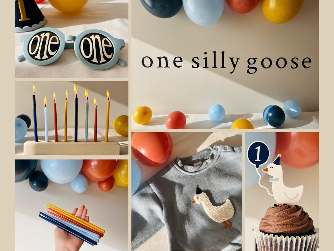 One Silly Goose Boy Decoration Bundle First Birthday Banner Silly Goose ...