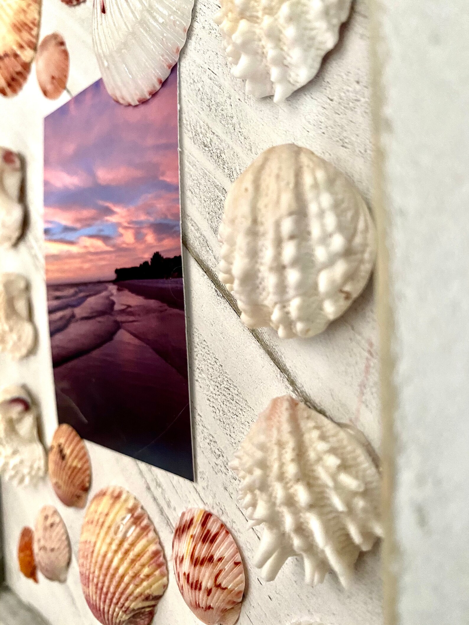 Seashell Art Framed Seashells Photo Art Nautical Decor - Etsy