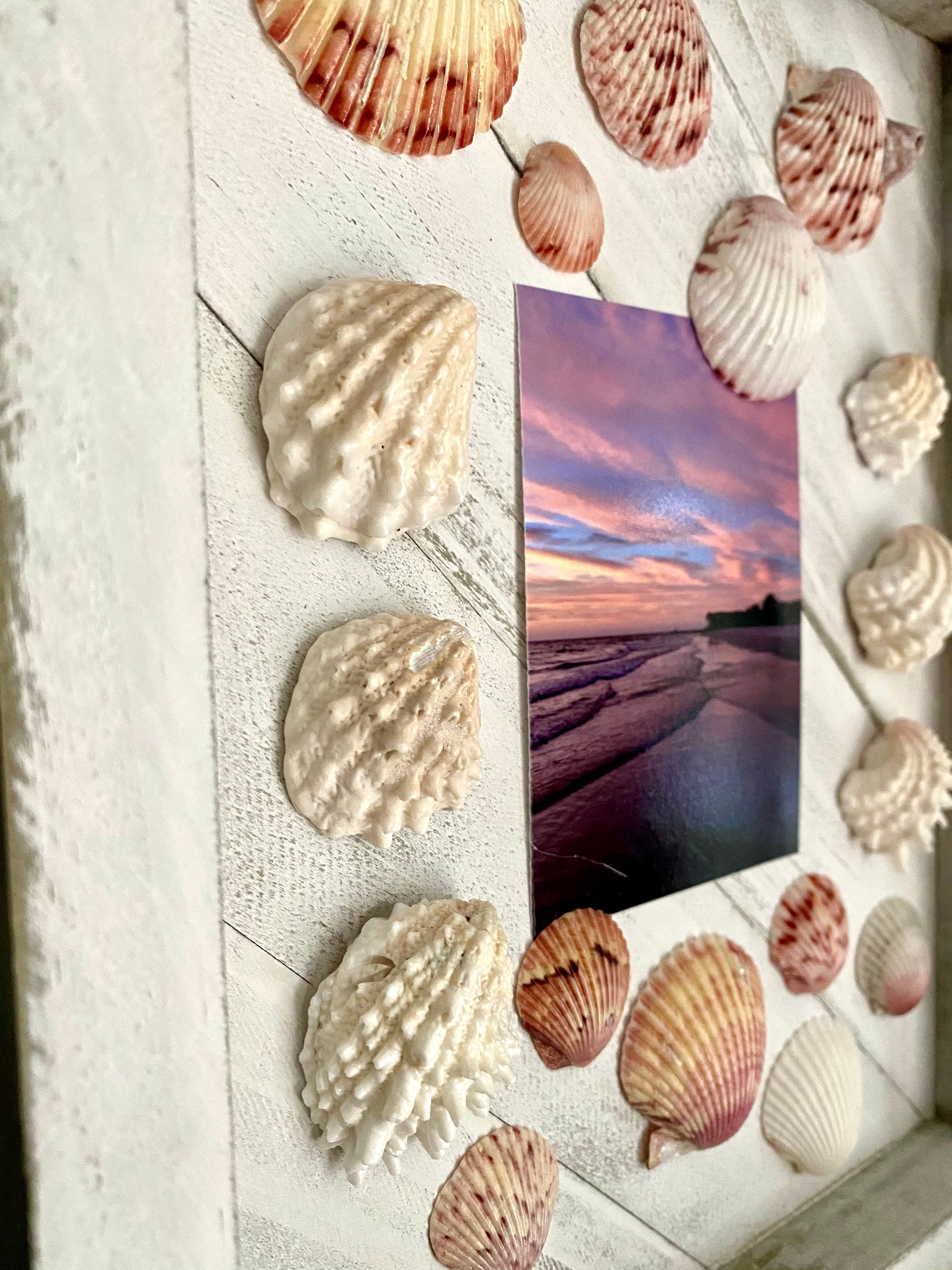Seashell art Framed seashells Photo art Nautical decor | Etsy