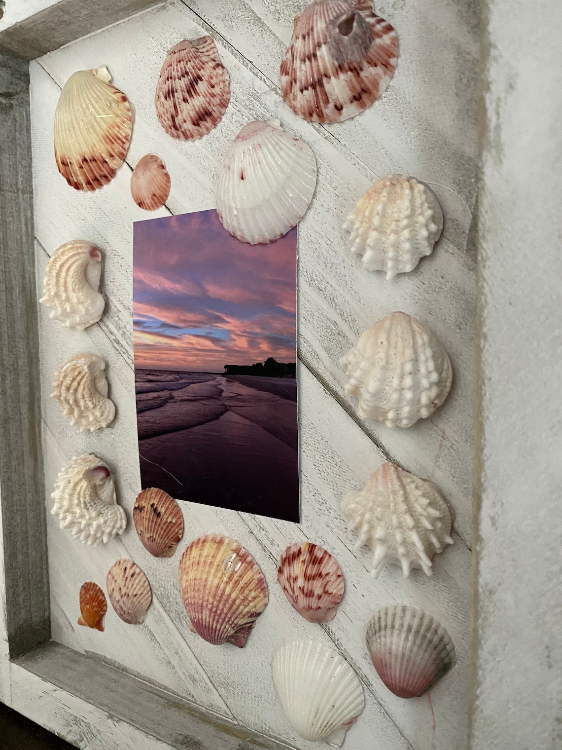 Seashell Art Framed Seashells Photo Art Nautical Decor - Etsy
