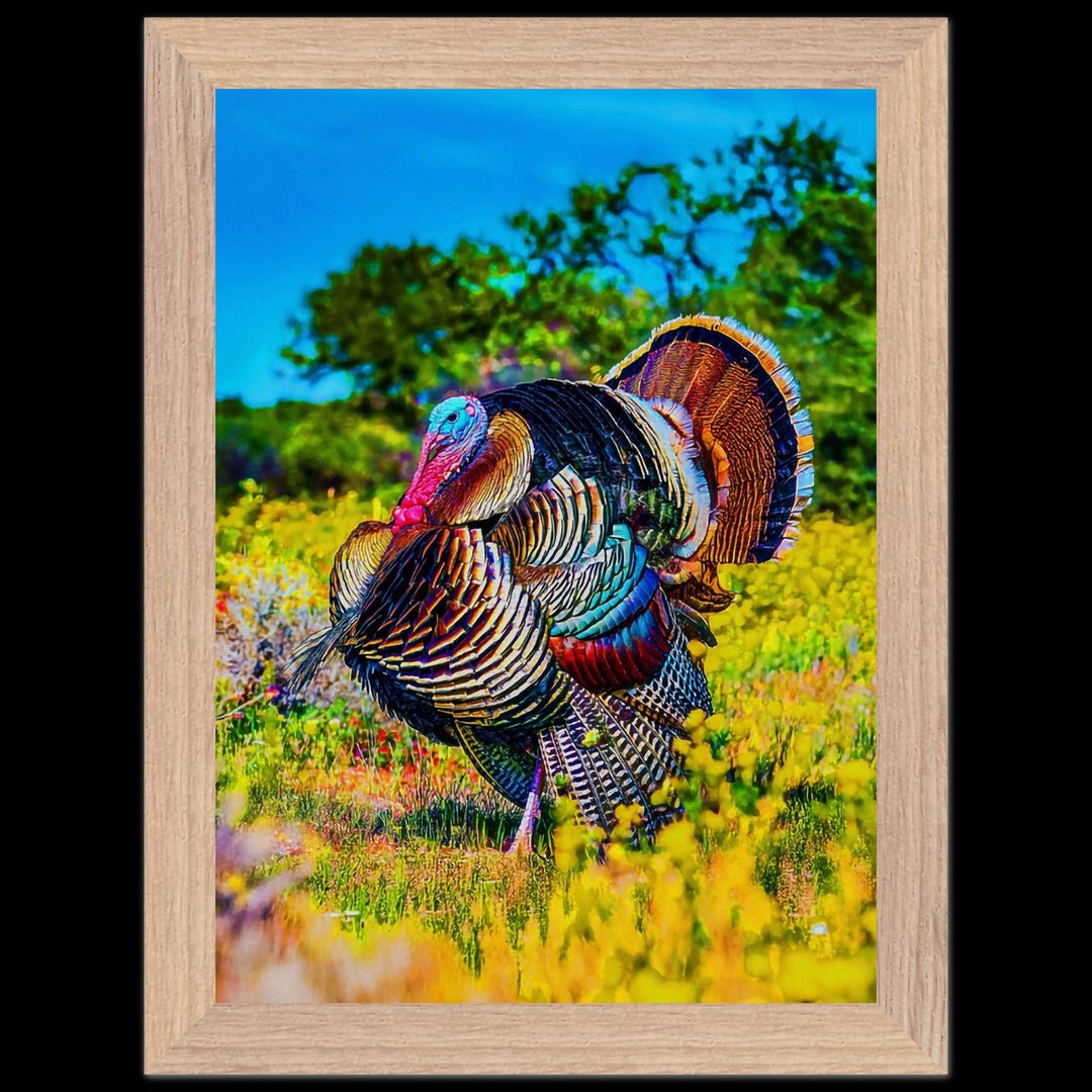 South Texas Wild Turkey Framed Art Print: Stunning Nature Poster ...