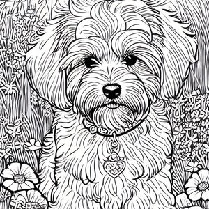Print Your Own Coloring Pages/ Yorkie and Cockadoodle Lovers Coloring ...