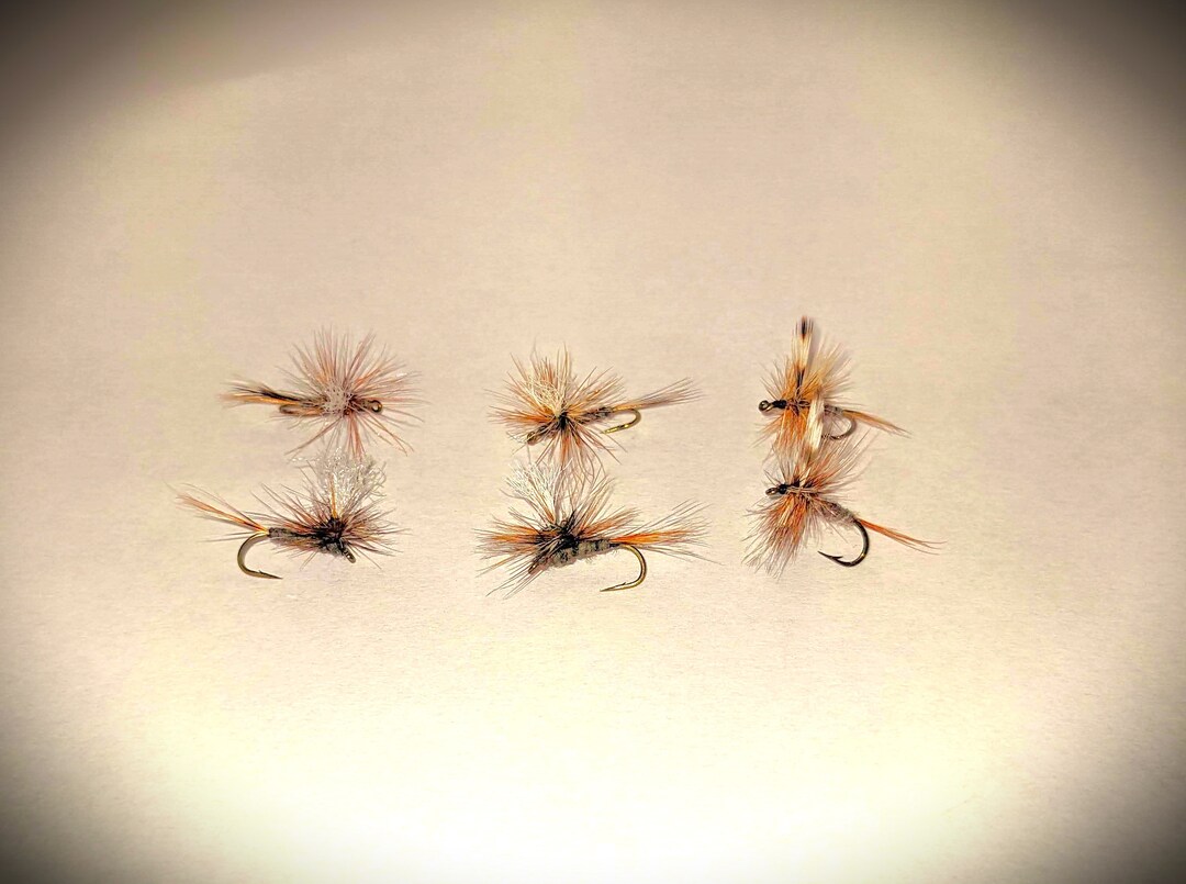 6 Adams Dry Flies, 4 Parachutes, 2 Catskill Dry Style. Size 12 on ...