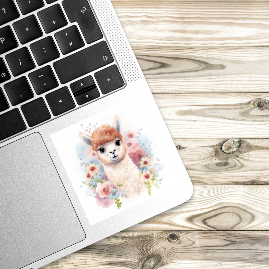 24 PNG Images Cute Watercolor Baby Alpacas Clipart Bundle Set, Boho ...