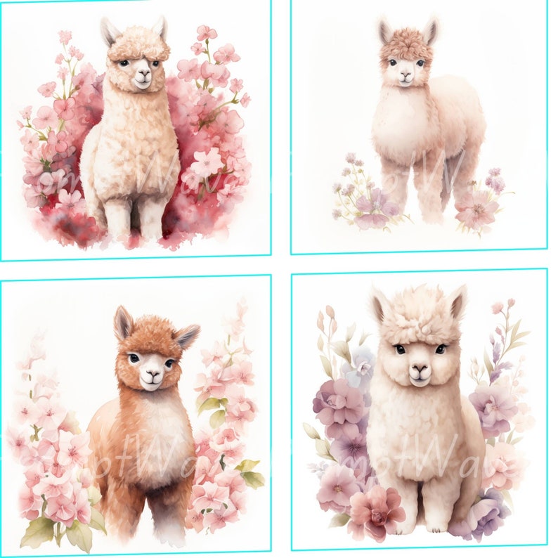 24 PNG Images Cute Watercolor Baby Alpacas Clipart Bundle Set, Boho ...