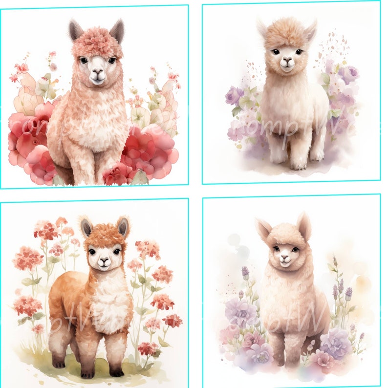24 PNG Images Cute Watercolor Baby Alpacas Clipart Bundle Set, Boho ...
