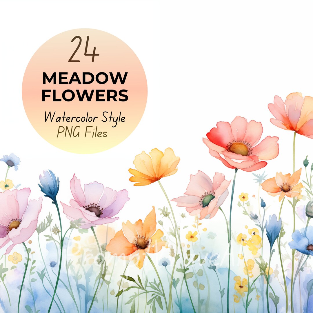Watercolor Meadow Flowers Clipart, Floral Clip Art Graphics, Digital ...